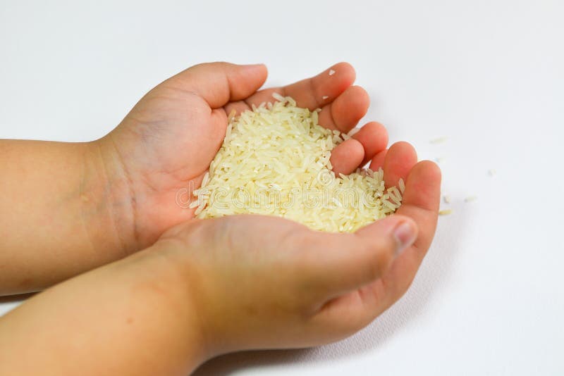 Thai rice and little hand stock image. Image of culture - 40347065