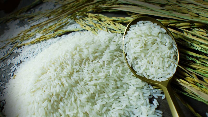 Thai rice varieties stock image. Image of diet, separation - 143929851