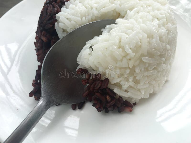 Thai riceberry stock photo. Image of asian, dinner, spoon - 73909304