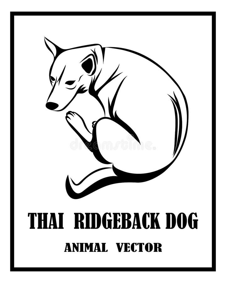 Thai Ridgeback Dog Black and White Vector Eps 10 Stock Vector ...