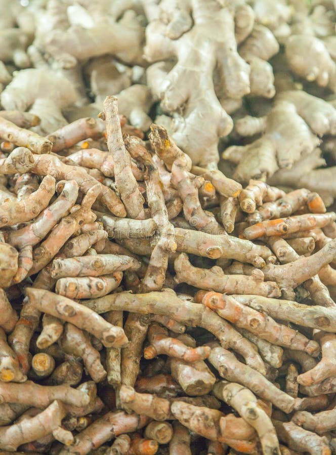 Thai roots stock photo. Image of flour, natural, plant - 114043862