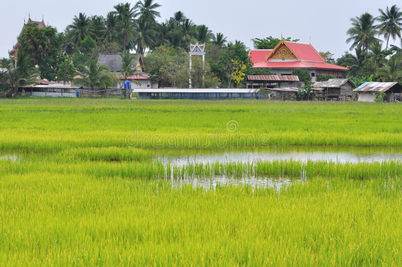 Thai rural lifestyle stock photo. Image of lifestyles - 22410172