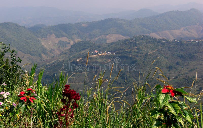 Thai rural lifestyle stock photo. Image of water, valley - 88451380