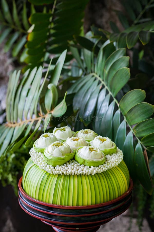 Thai Setup Wedding Ceremony Stock Photo - Image of traditional, betel ...