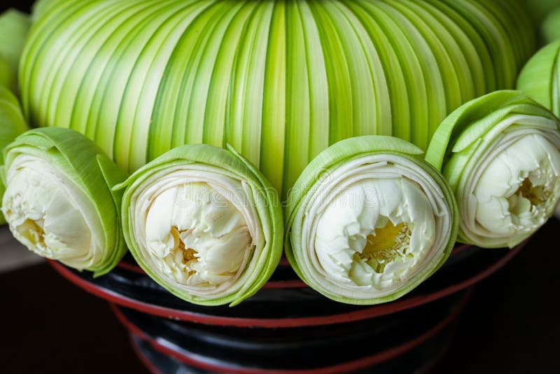 Thai Setup Wedding Ceremony Stock Photo - Image of traditional, betel ...