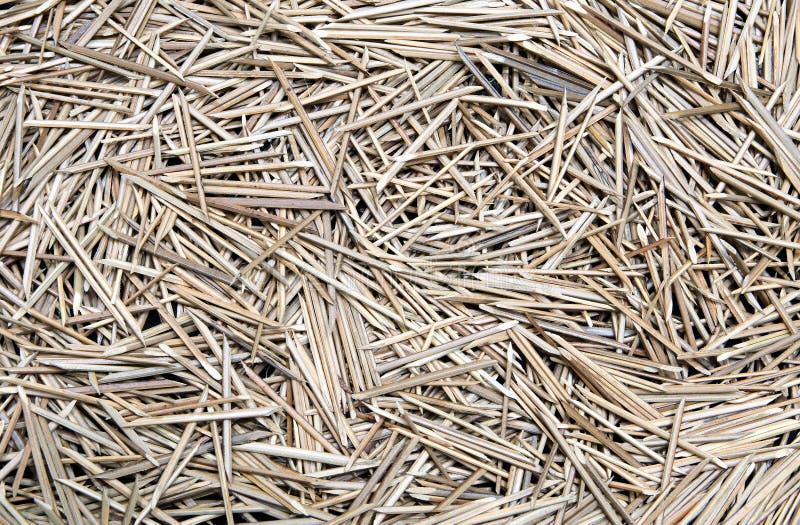 Thai Skewer in Natural Pattern Stock Image - Image of utensils ...