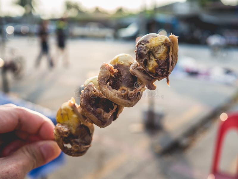 Thai Skewer of Unborn Chick. Stock Photo - Image of asian, chick: 84299618