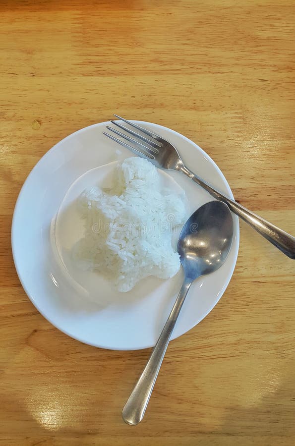 Thai Steam Rice Serve on Dish with Turtle Make Stock Photo - Image of ...