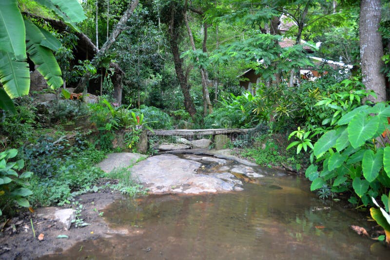 Thai style garden stock image. Image of decoration, gardening - 59998915