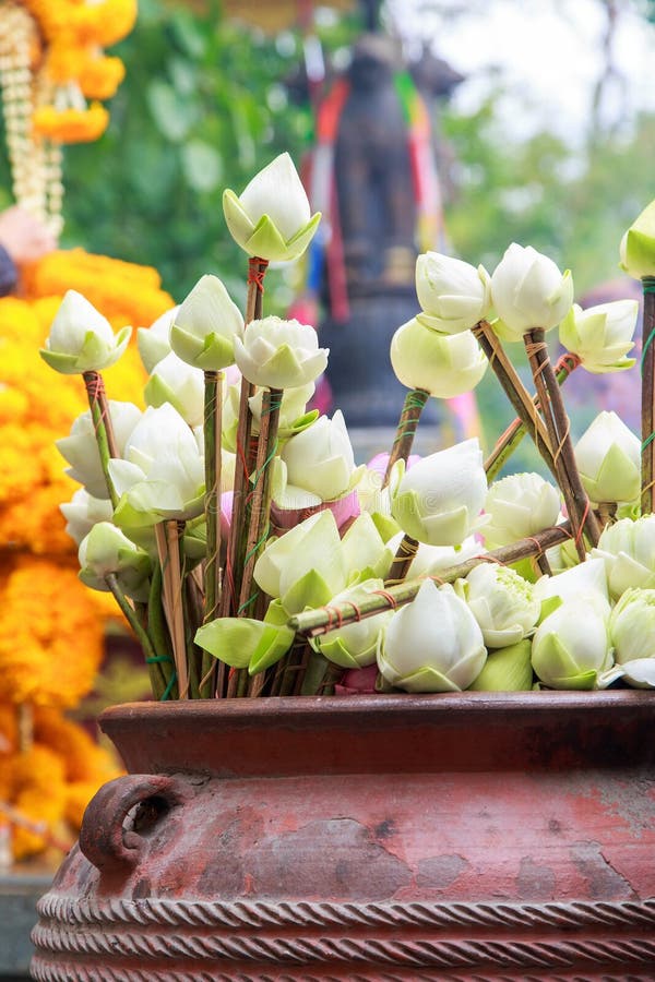 Thai style lotus on stand stock photo. Image of detail - 75340146