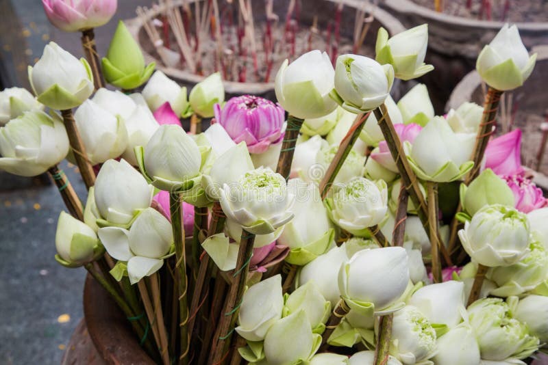 Thai style lotus on stand stock image. Image of outdoor - 75340153