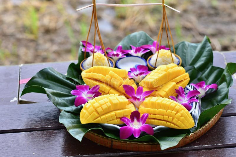 Thai-Style Mango Sticky Rice with Orchid Flowers Stock Image - Image of ...