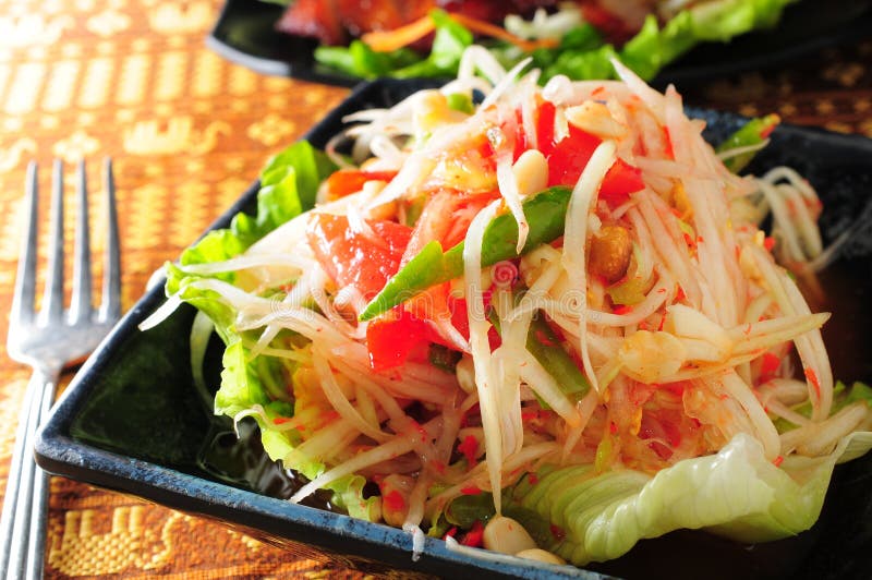 Gaeng Pet Pak stock photo. Image of curry, milk, thailand - 18623630