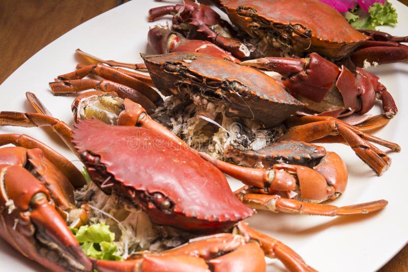 Steamed red crab in shell stock image. Image of delicious - 193428971
