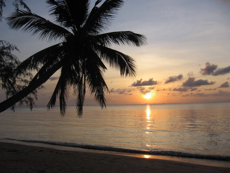 Thai Sunset with Palm stock image. Image of asian, paradise - 4338113