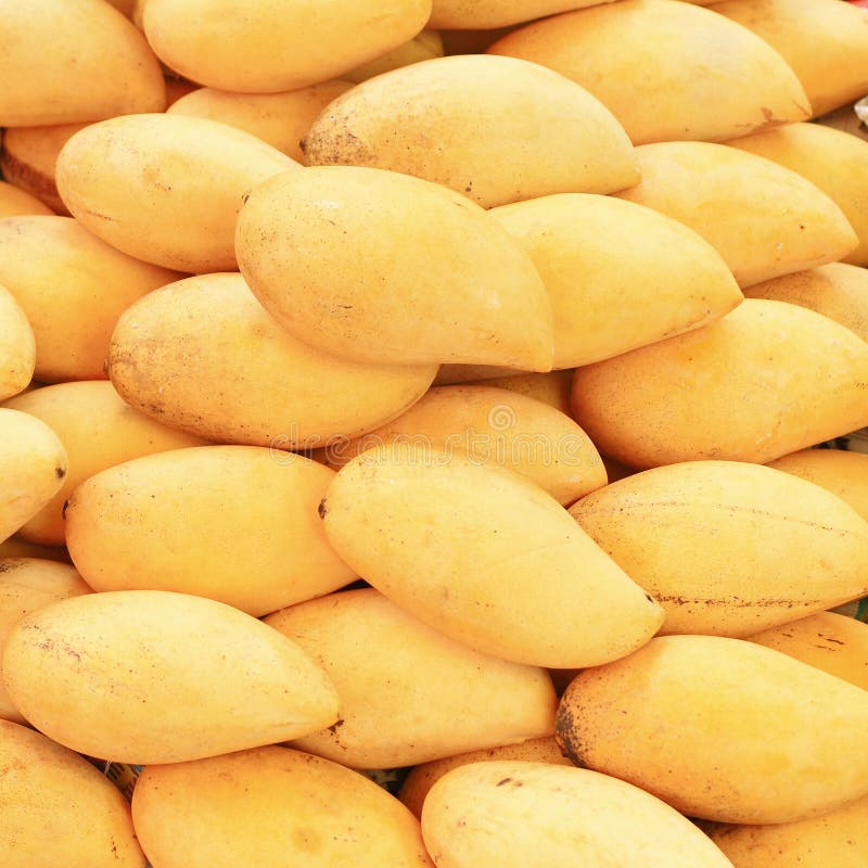 Thai sweet mango stock image. Image of syrup, asia, sweet - 20708877