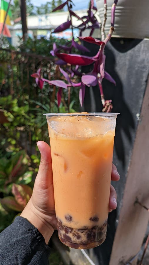 Thai Tea Boba Drink in a Cup Stock Image - Image of drink, thai: 347324345