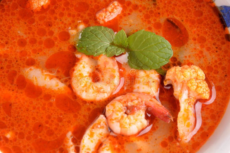 Thai Tom Yam stock photo. Image of soup, spicy, sour - 23197294