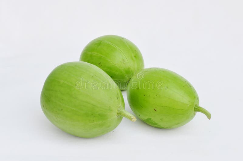 Thai Vegetable Tangmo Stock Photos - Free & Royalty-Free Stock Photos ...