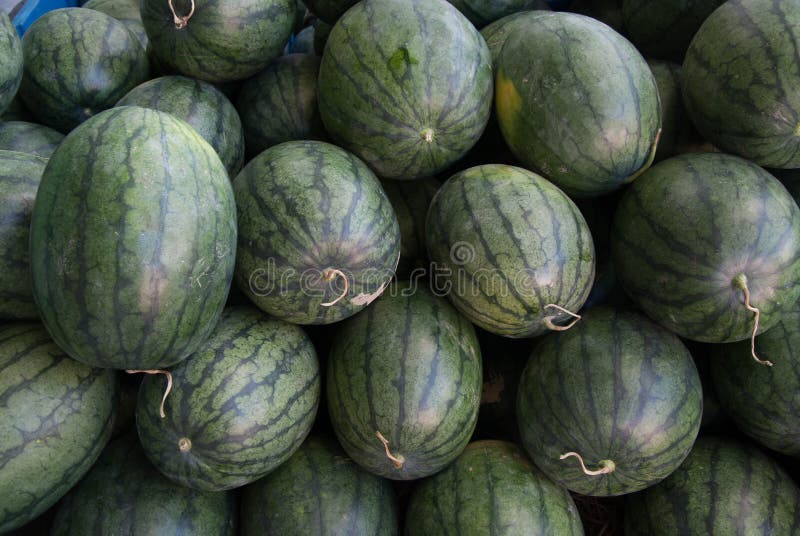 Thai Watermelon Carving stock image. Image of pattern - 47209765