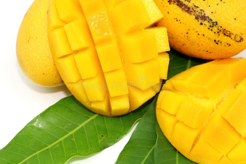 Yellow Thai Temple Flower Art Stock Photo - Image of garden, drop: 46114134