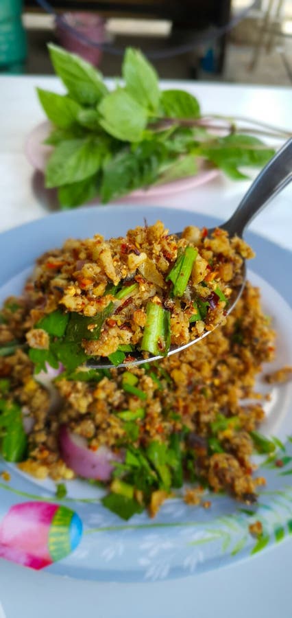 Thaifood catfish larb stock image. Image of meal, fruit - 178438833