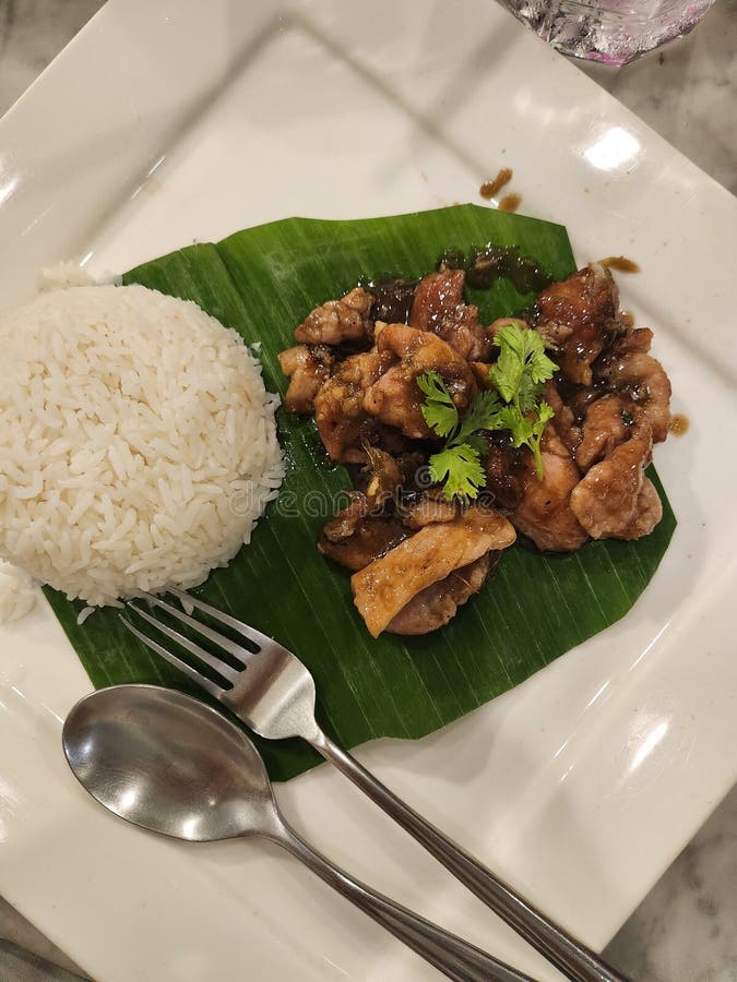 Thaifood Garlic Pork Fried with Rice Stock Photo - Image of rice ...