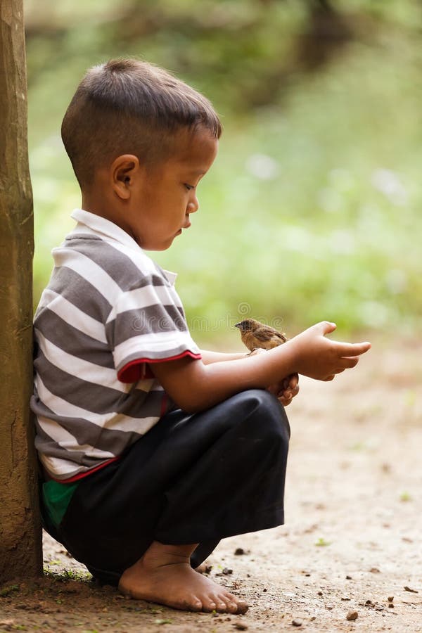 Thailändisches Kind, Das Kleinen Vogel Hält Redaktionelles Foto - Bild ...