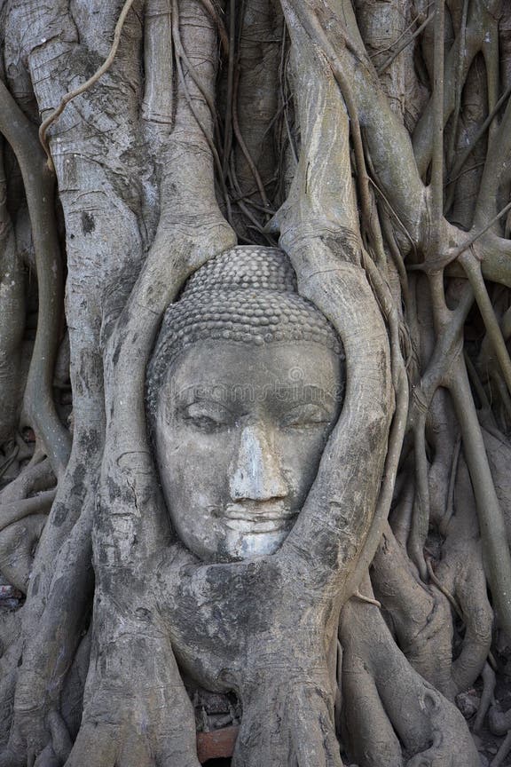 THAILAND, Ayutthaya, Buddha Statue Stock Photo - Image of architecture ...