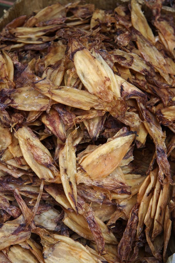 Thailand, Bangkok, Dry Cuttlefish Stock Image - Image of ocean, eating ...
