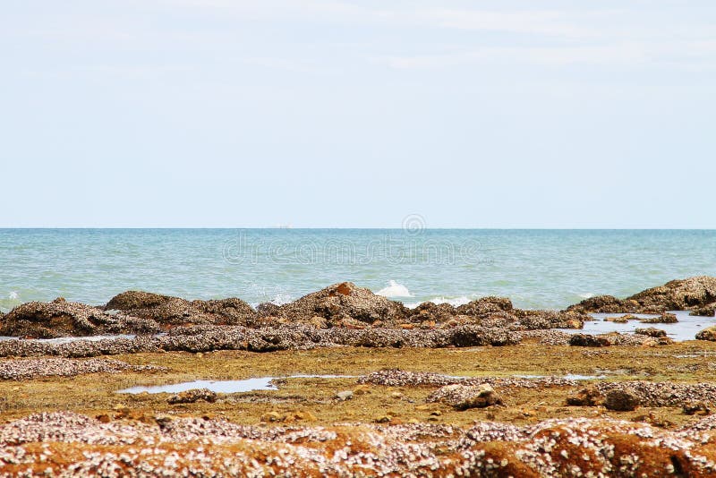 Thailand Beach in Summer Emerald Sea Clear Sky Stone Shore Stock Image ...