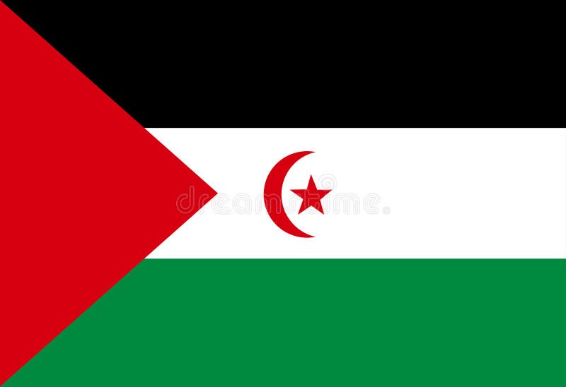 Western Sahara Flag Illustrator Country Flags Stock Vector ...