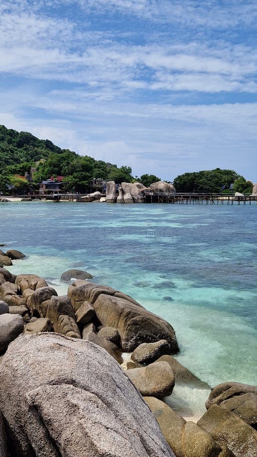 Ko Tao stock image. Image of flower, tropics, jungle - 289087023