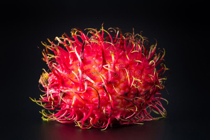 Thailand rambutan fruit stock photo. Image of background - 74396956
