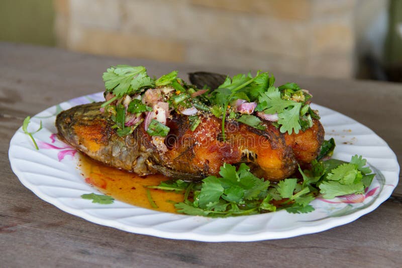 Thailand Style Striped Snakehead Fish Fried Stock Photo - Image of ...