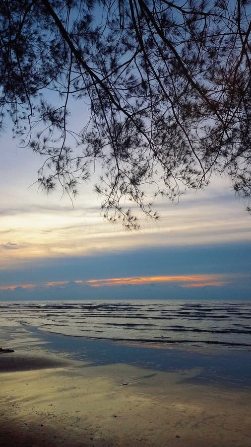 Thallasophile Stock Photos - Free & Royalty-Free Stock Photos from ...