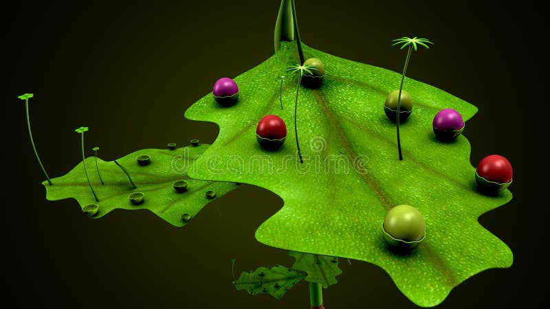 Thallus Structure Plant. 3D Illustrations Stock Illustration ...