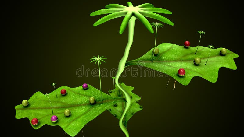 Thallus Structure Plant. 3D Illustrations Stock Illustration ...