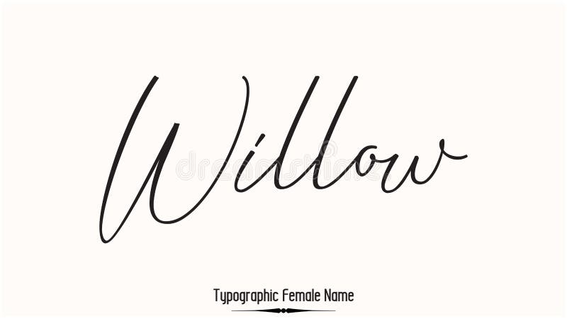 Willow Female Name - Beautiful Handwritten Lettering Modern Calligraphy ...