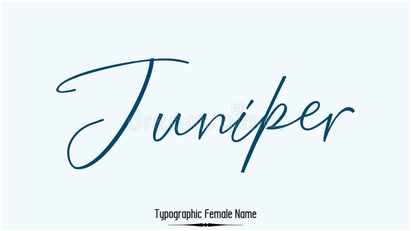 Doodle Juniper Stock Illustrations – 310 Doodle Juniper Stock ...