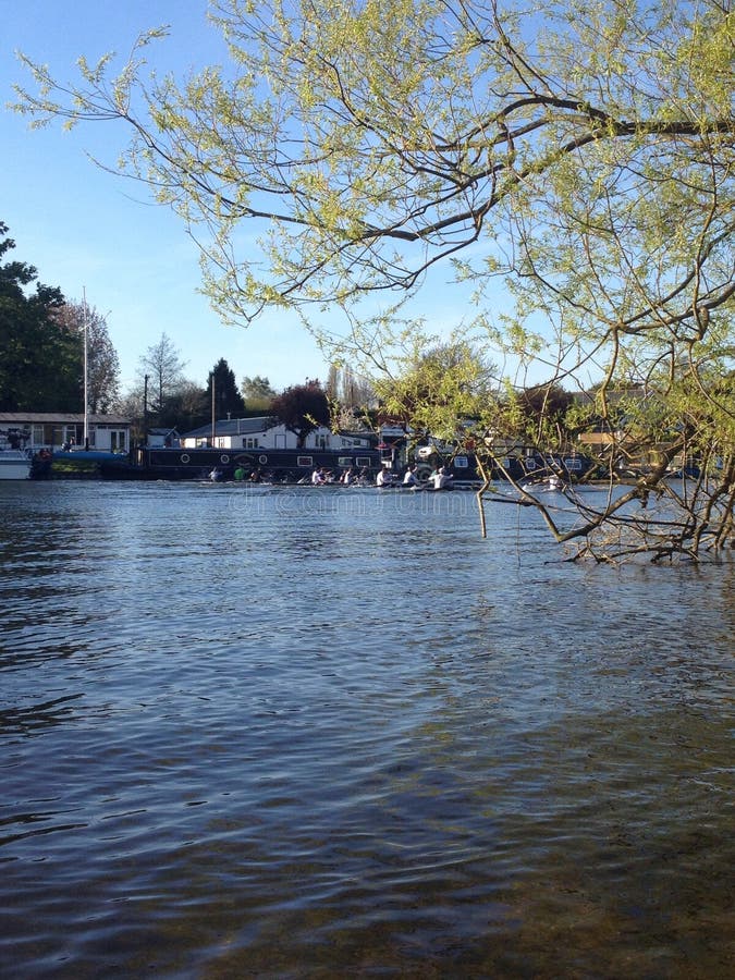 Thames stock photo. Image of water, nature, thames, tree - 71329244