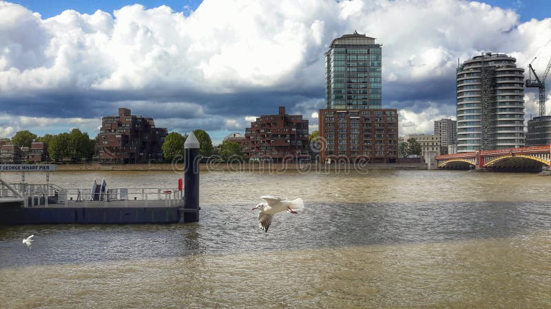 Thames View stock image. Image of thames, vauxhall, towerblocks - 60502017