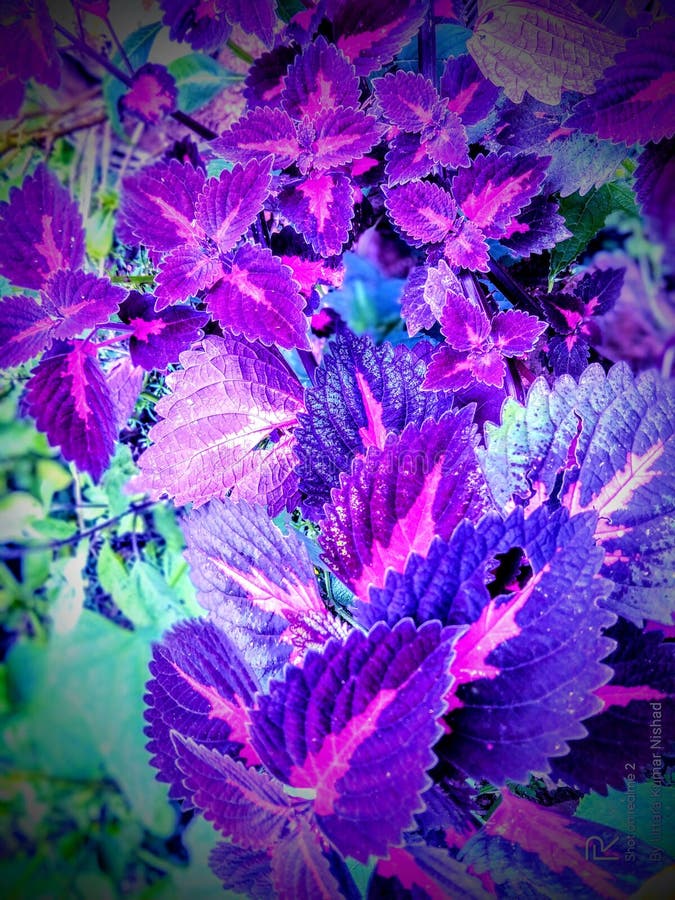 Thandar Vector Stock Photos - Free & Royalty-Free Stock Photos from ...