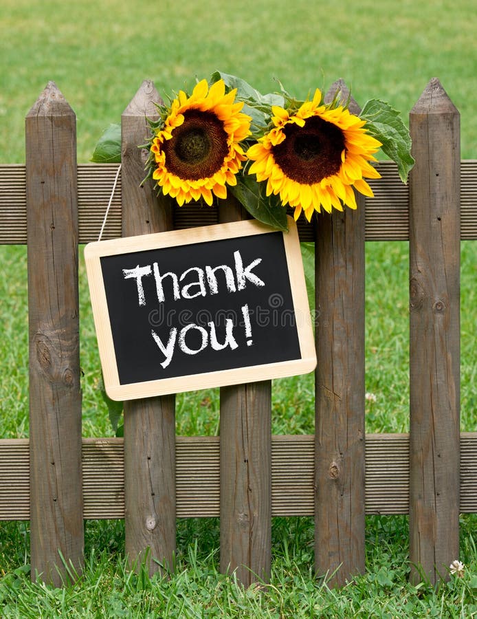 Thank you stock photo. Image of chalkboard, yellow, lawn - 26935568