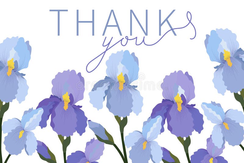Thank you card with iris stock vector. Illustration of writing - 280615183