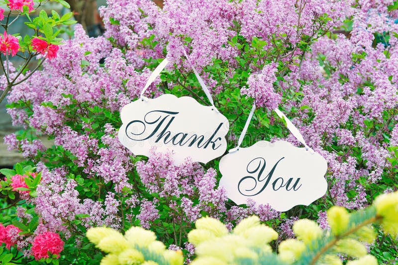 Thank you decoration board stock photo. Image of decoration - 72553418