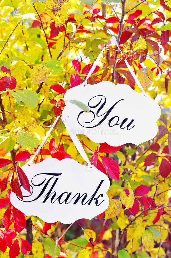 Thank You Decoration Boards Stock Photo - Image of board, design: 59769368