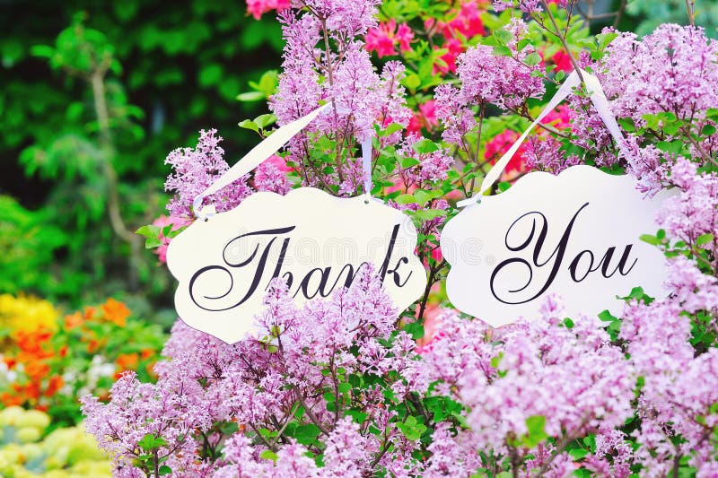 1,762 Thank You Tree Stock Photos - Free & Royalty-Free Stock Photos ...