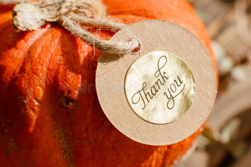 Rustic Thank You Sign stock photo. Image of outdoors - 233892486