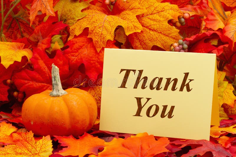 469 Thank You Fall Leaves Stock Photos - Free & Royalty-Free Stock ...
